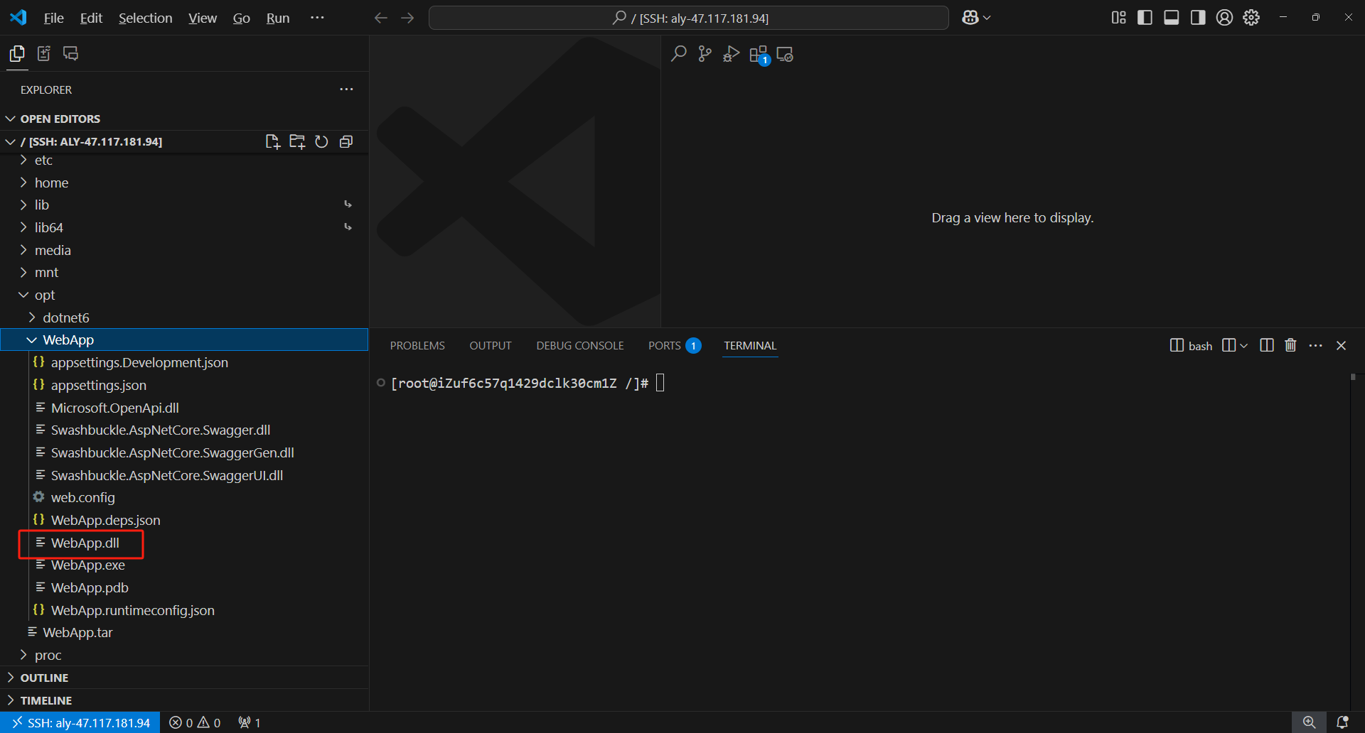 如何在Linux中部署Asp.Net Core Web API应用_netcore linux部署-CSDN博客