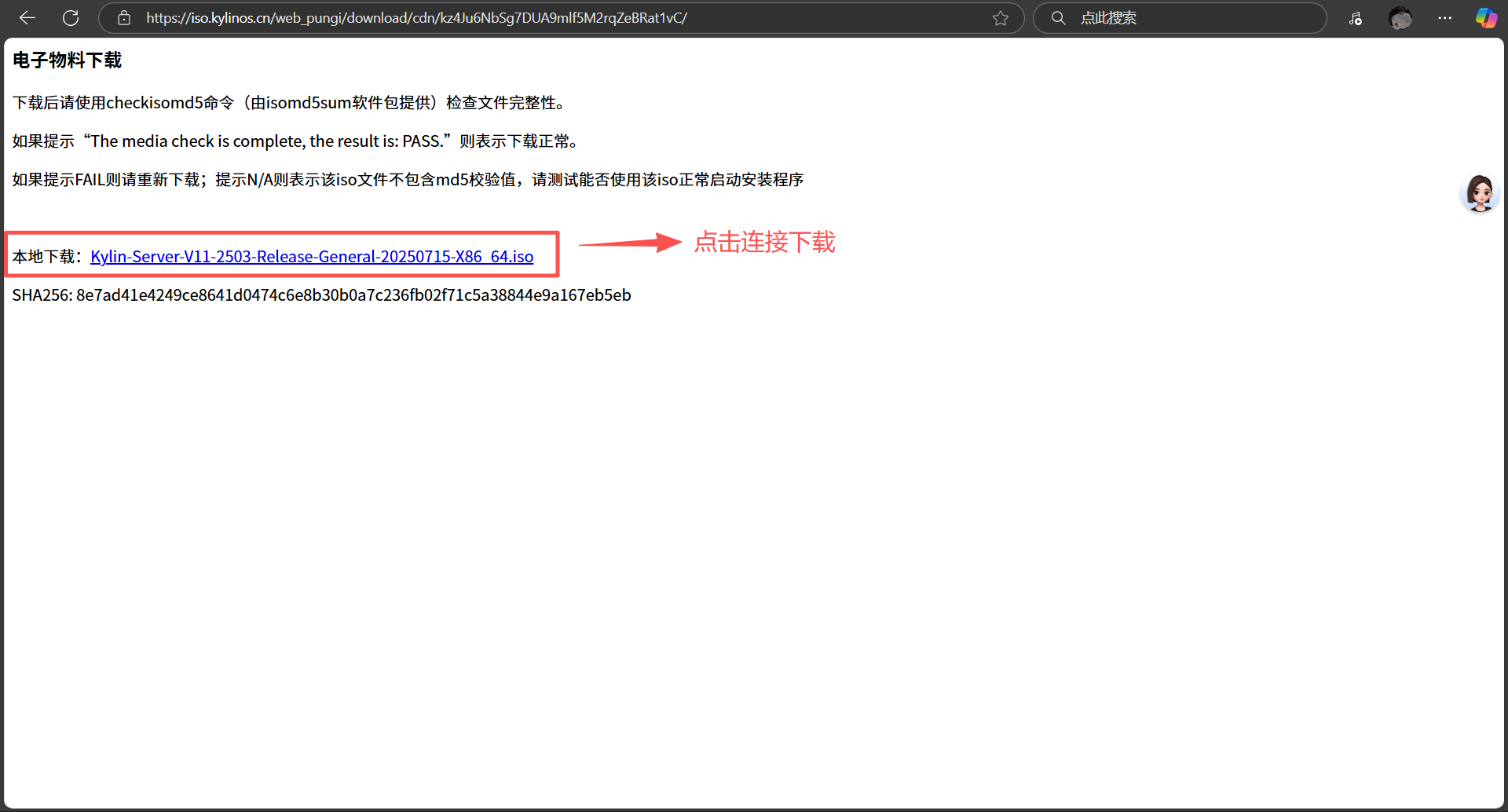 麒麟 V11 系统（Kylin Linux Advanced Server V11）VMWare 安装教程_银河麒麟v11下载-CSDN博客