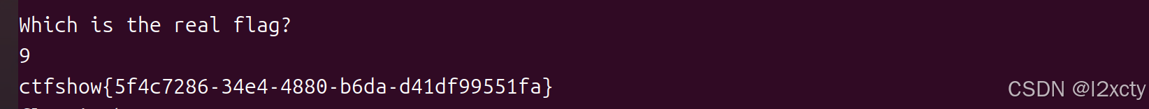 CTFshow-pwn入门-前置基础pwn13-pwn19_ctfshow pwn-CSDN博客