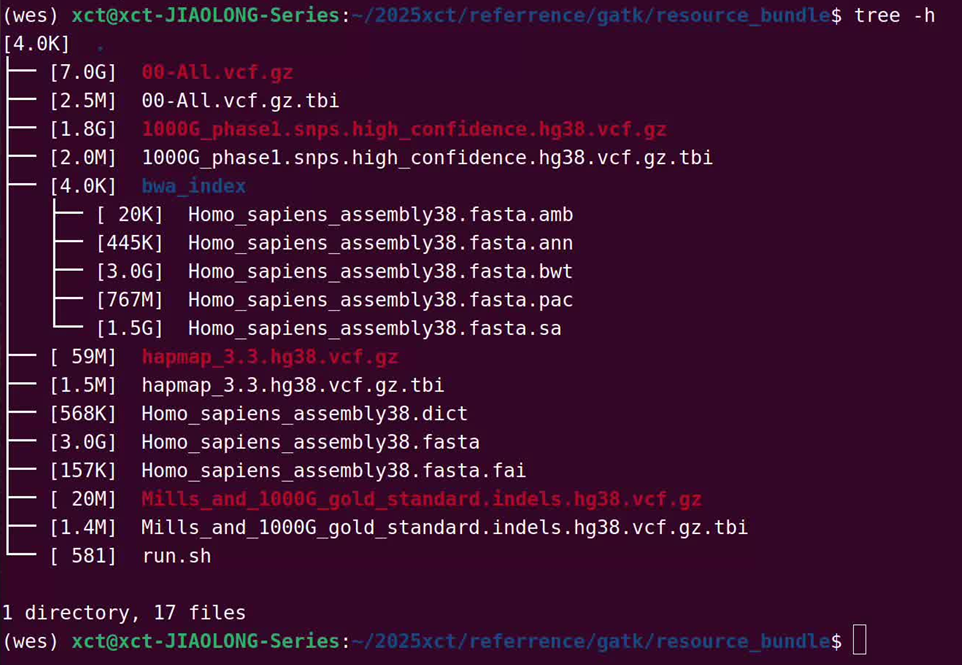 WES实战——全流程-CSDN博客