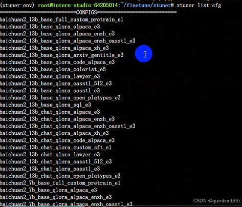 XTuner 微调实践微调_xtuner文档-CSDN博客