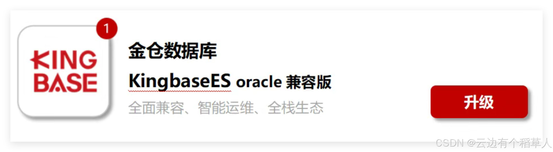 KingbaseES V9 技术深潜：从Oracle兼容到超越的全面实践指南！_金仓(时序专业版)v9.0-CSDN博客