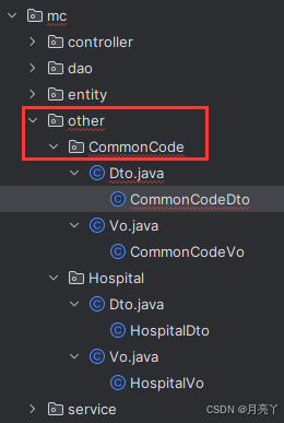 Java 基于 Mybatis-Plus 自动生成代码 (带DTO、VO)_mybatis plus dto vo-CSDN博客
