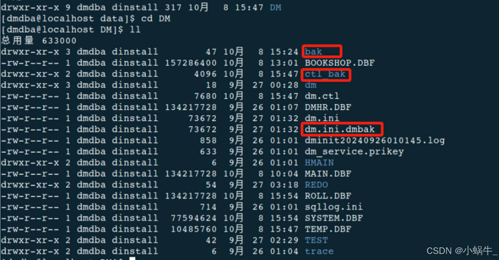 DM数据备份与还原_dm数据库备份-CSDN博客