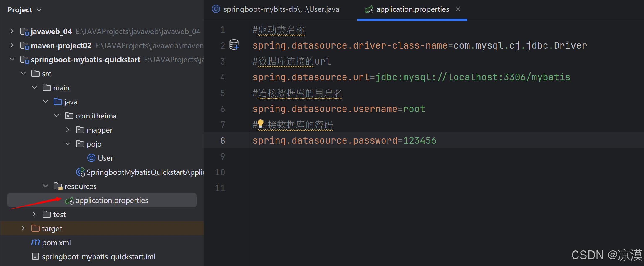 Mybatis入门（day08）-CSDN博客