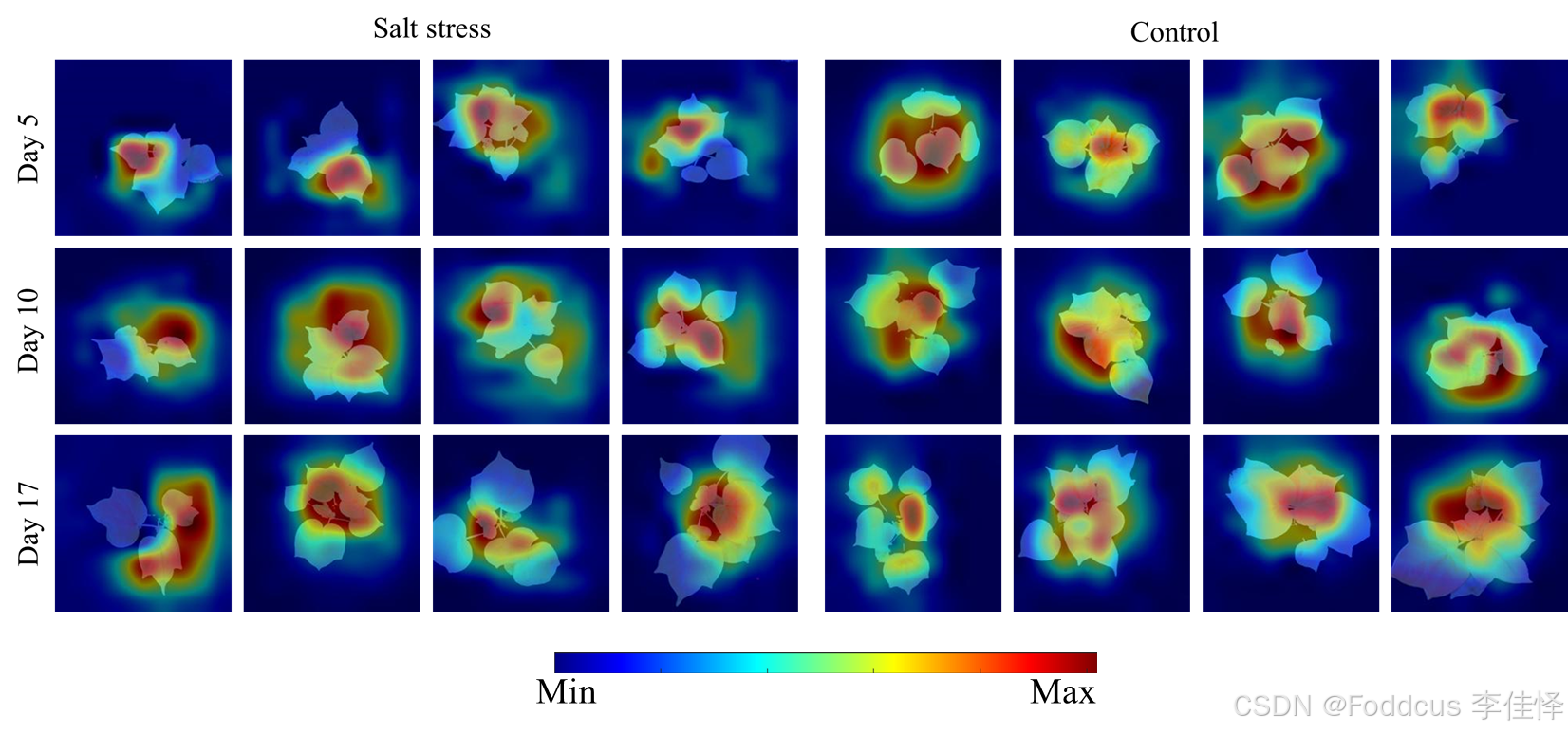 观察你的CNN：CAM与Grad-CAM，数学详解及代码（matlab）_gradcam-CSDN博客