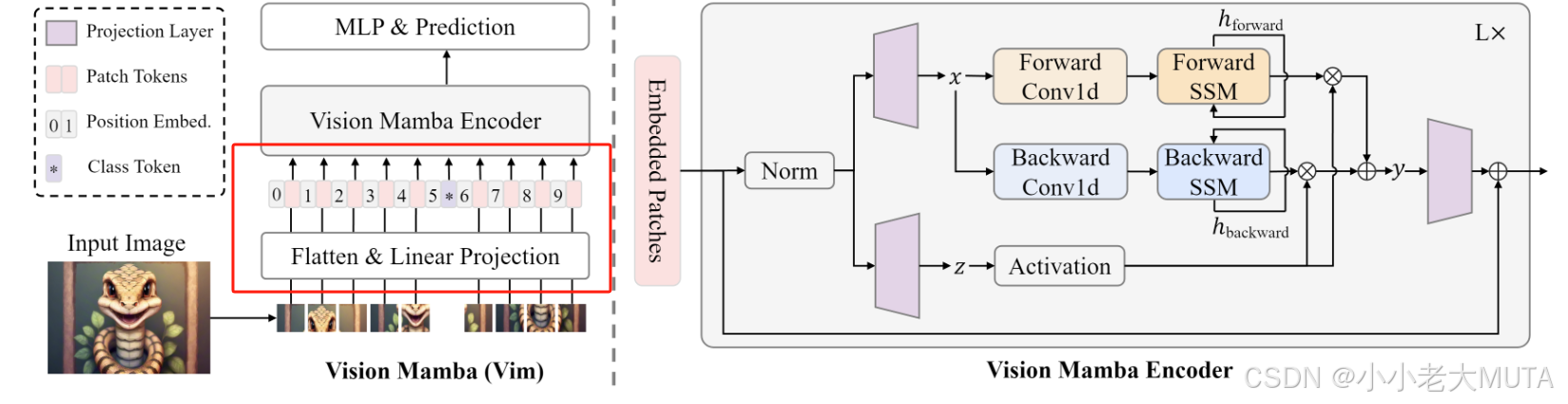 Vision Mamba代码解读——模型篇-CSDN博客