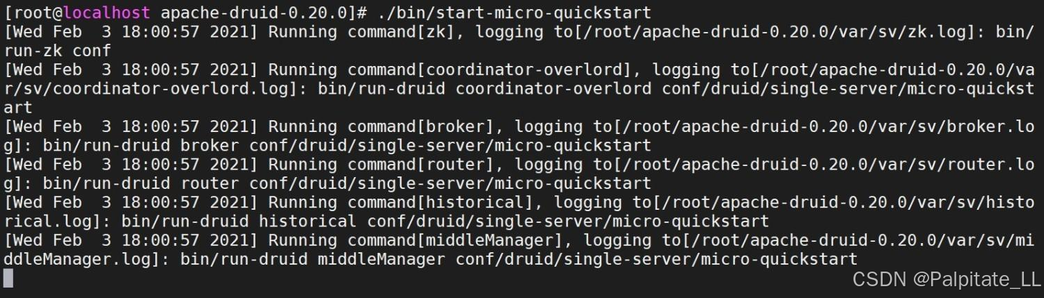 Apache druid未授权命令执行漏洞复现_apache druid 控制台未授权访问漏洞-CSDN博客