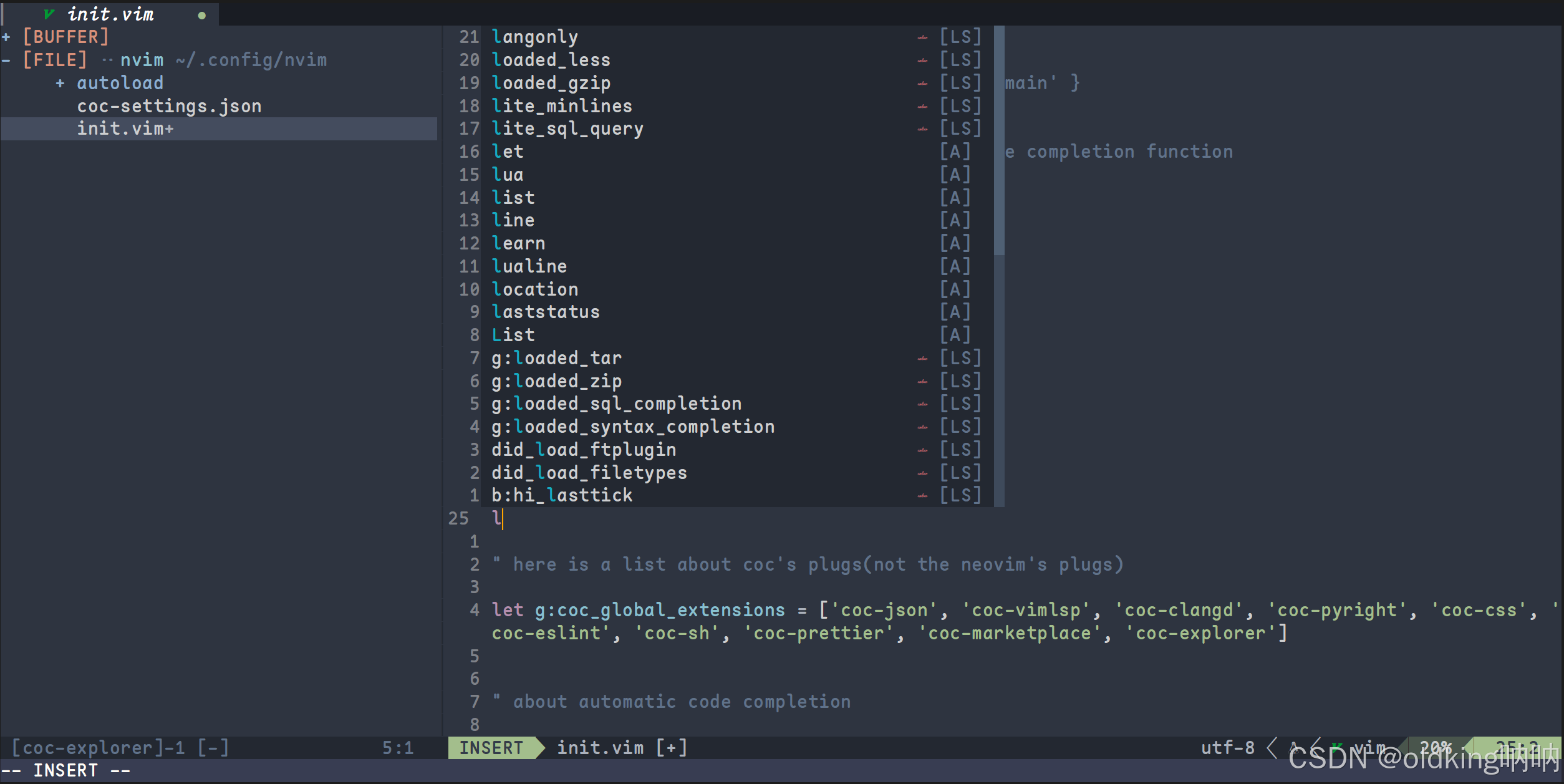 neovim快速配置与食用方法_neovim配置-CSDN博客