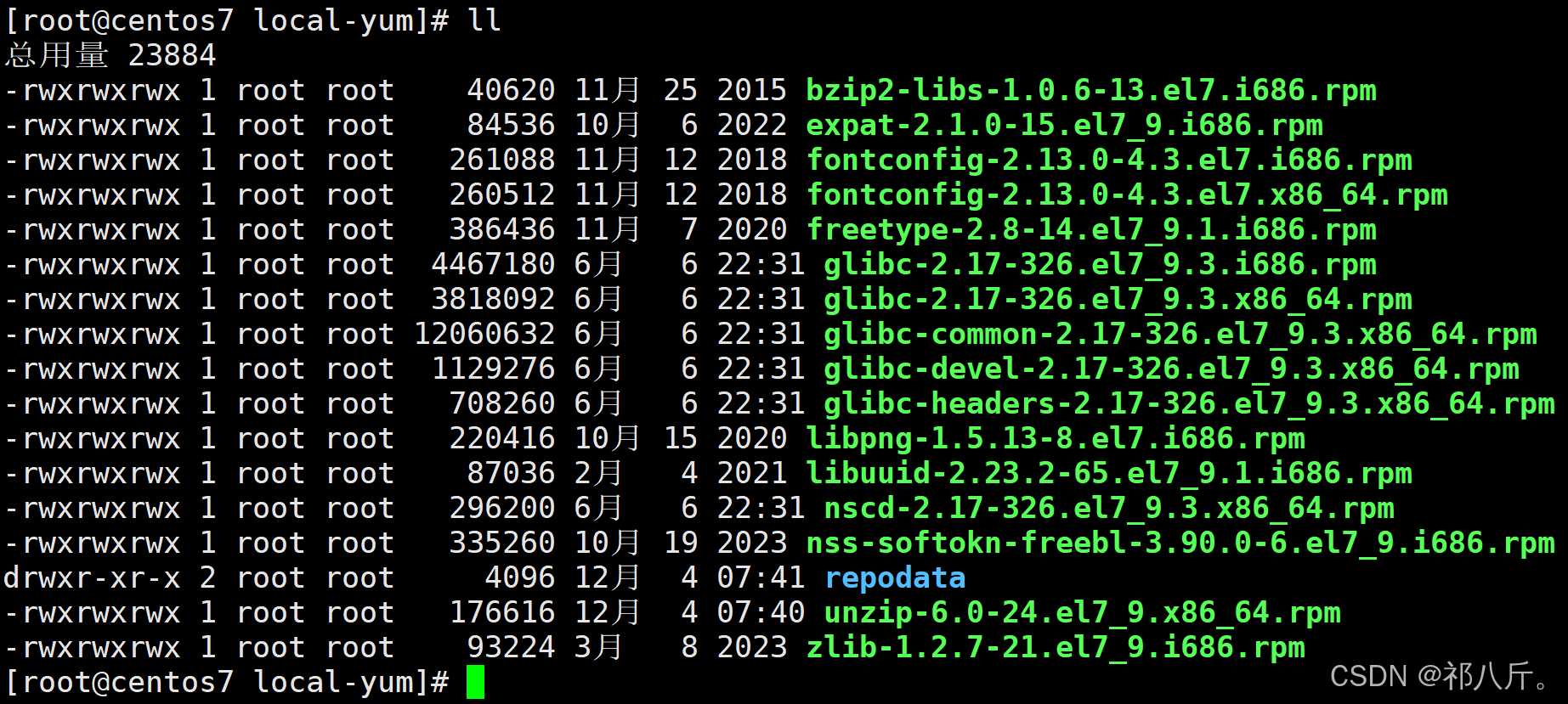 Linux搭建httpd局域网yum仓库源 - 保姆级教程_linux下搭建局域网源-CSDN博客