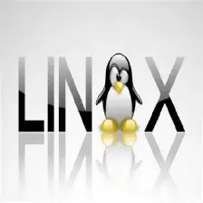 Linux基本概述-CSDN博客
