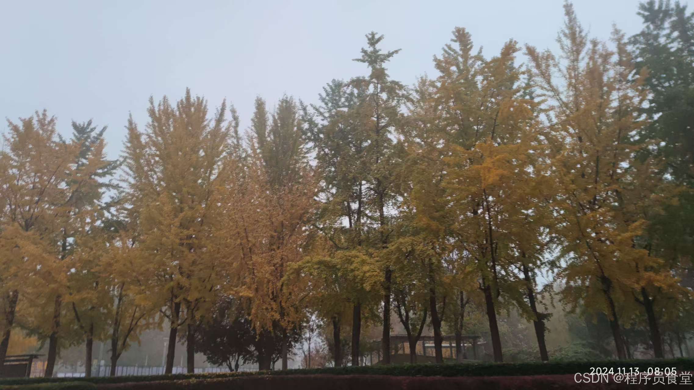 Swagger学习⑨——@RequestBody注解_io.swagger.v3.oas.annotations.parameters.requestbo-CSDN博客