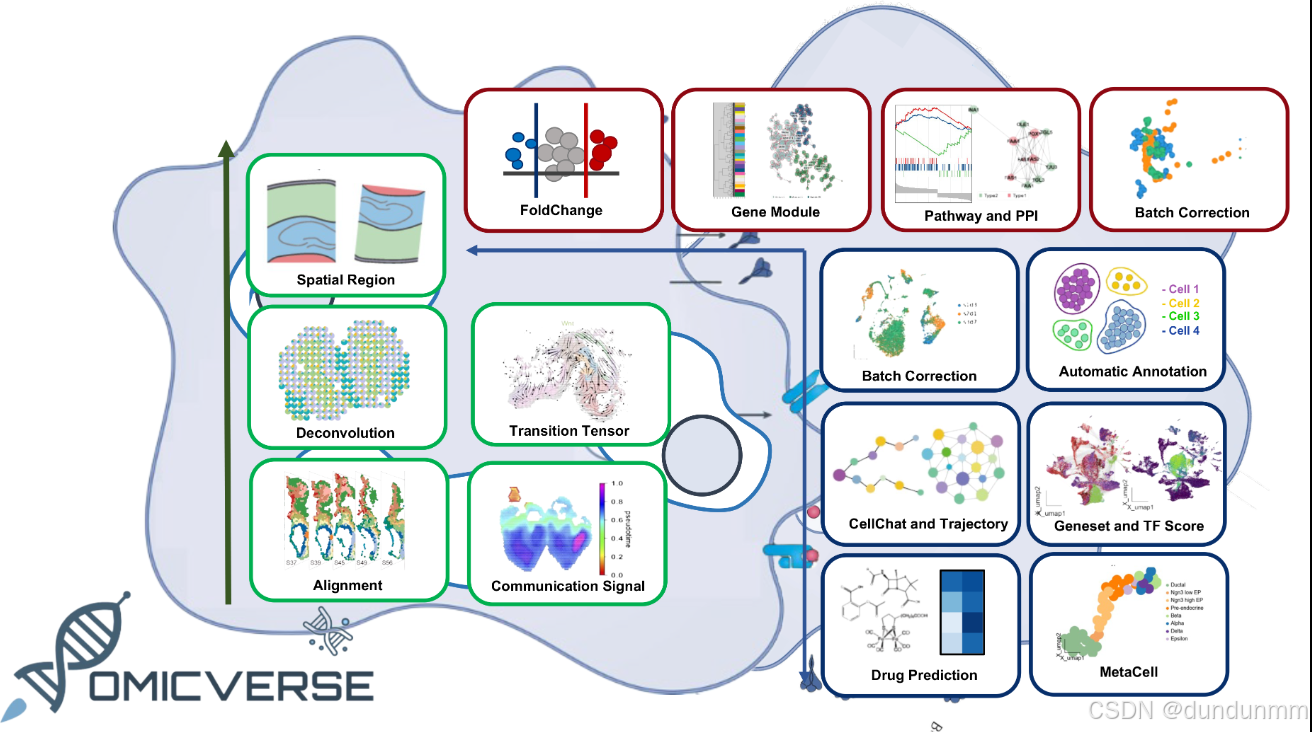 【每天一个知识点】OmicVerse-CSDN博客