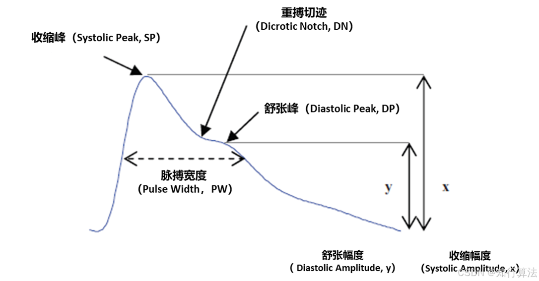 「PPG信号处理——（1）光电容积脉搏波（PPG）信号的形成机制、原理与分析」2025年12月17日_ppg光电信号-CSDN博客