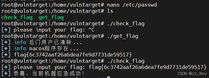玄机-第八章 内存马分析-java01-nacos的测试报告-CSDN博客