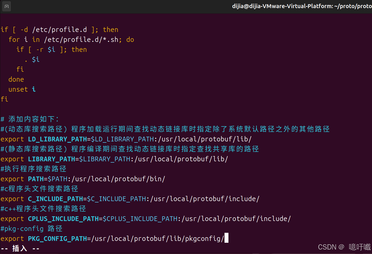 【ProtoBuf】Ubuntu安装ProtoBuf_ubuntu安装protoc-CSDN博客