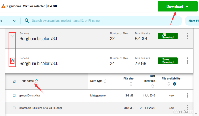 基因家族鉴定及构树（以高粱为例）_tbtools simple hmm search-CSDN博客
