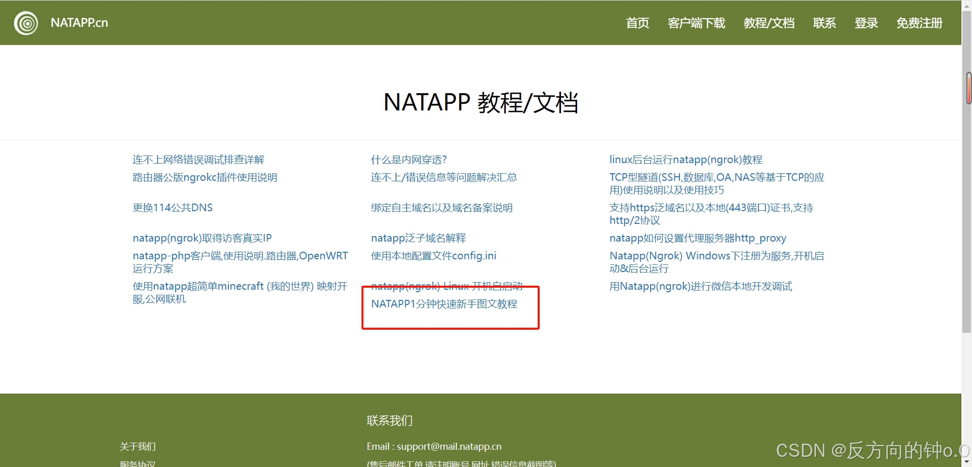 使用natapp做内网穿透_natapp使用-CSDN博客