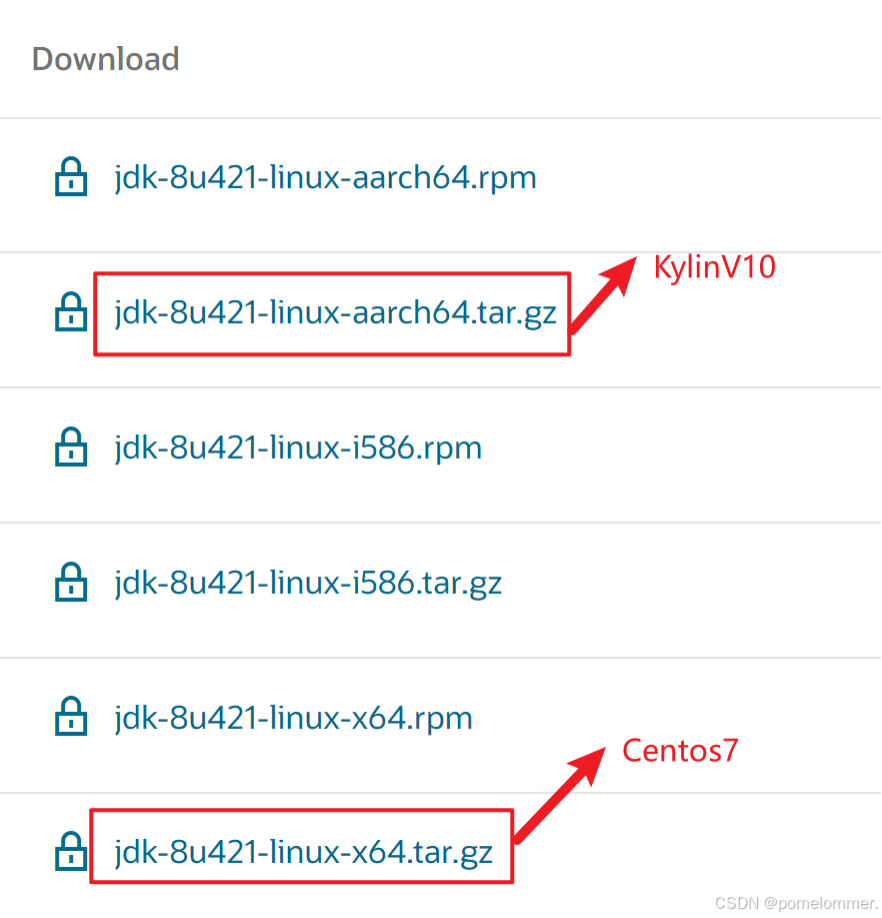 金蝶AAS v9.0部署说明_aas-v9.0-CSDN博客
