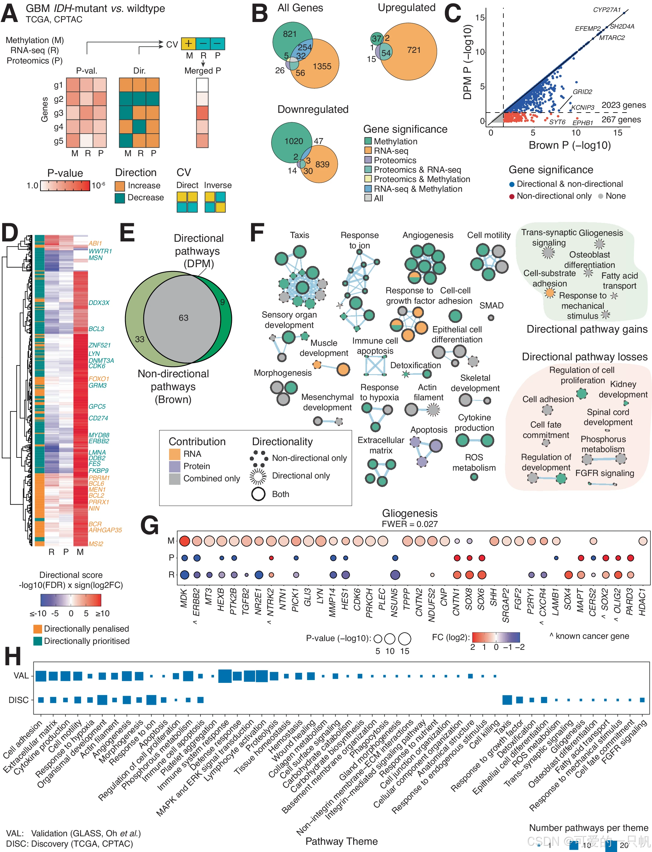 ActivePathways·多组学数据的定向整合与通路富集分析-CSDN博客