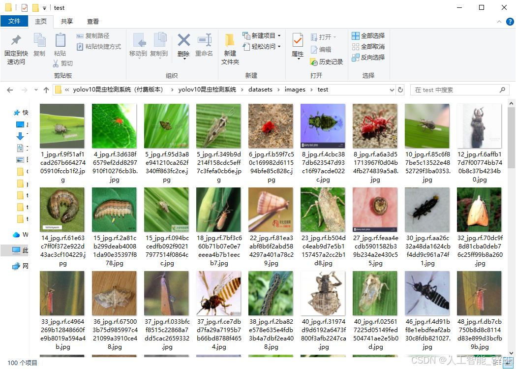 基于yolov8的昆虫检测系统(深度学习模型ui界面python代码训练数据集)昆虫目标检测迭代 模型训练结果 Csdn博客