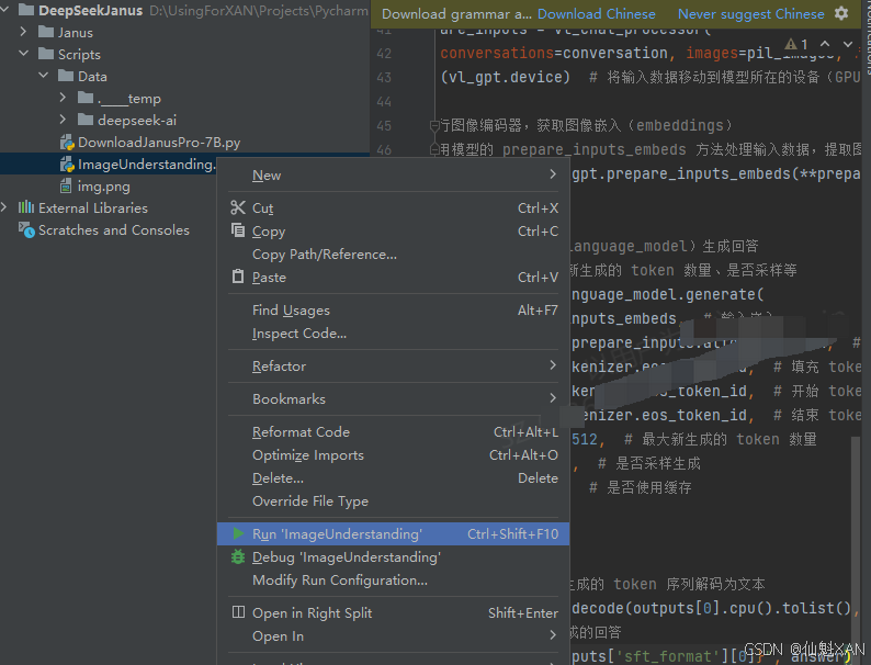Python 【大模型】之 Deepseek 多模态 Janus 【图生文】【文生图】本地部署/代码调用 的简单整理_本地部署 janus-CSDN博客