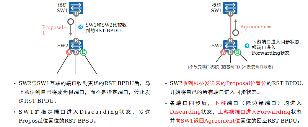 stp/rstp/mstp原理_stp、rstp-CSDN博客
