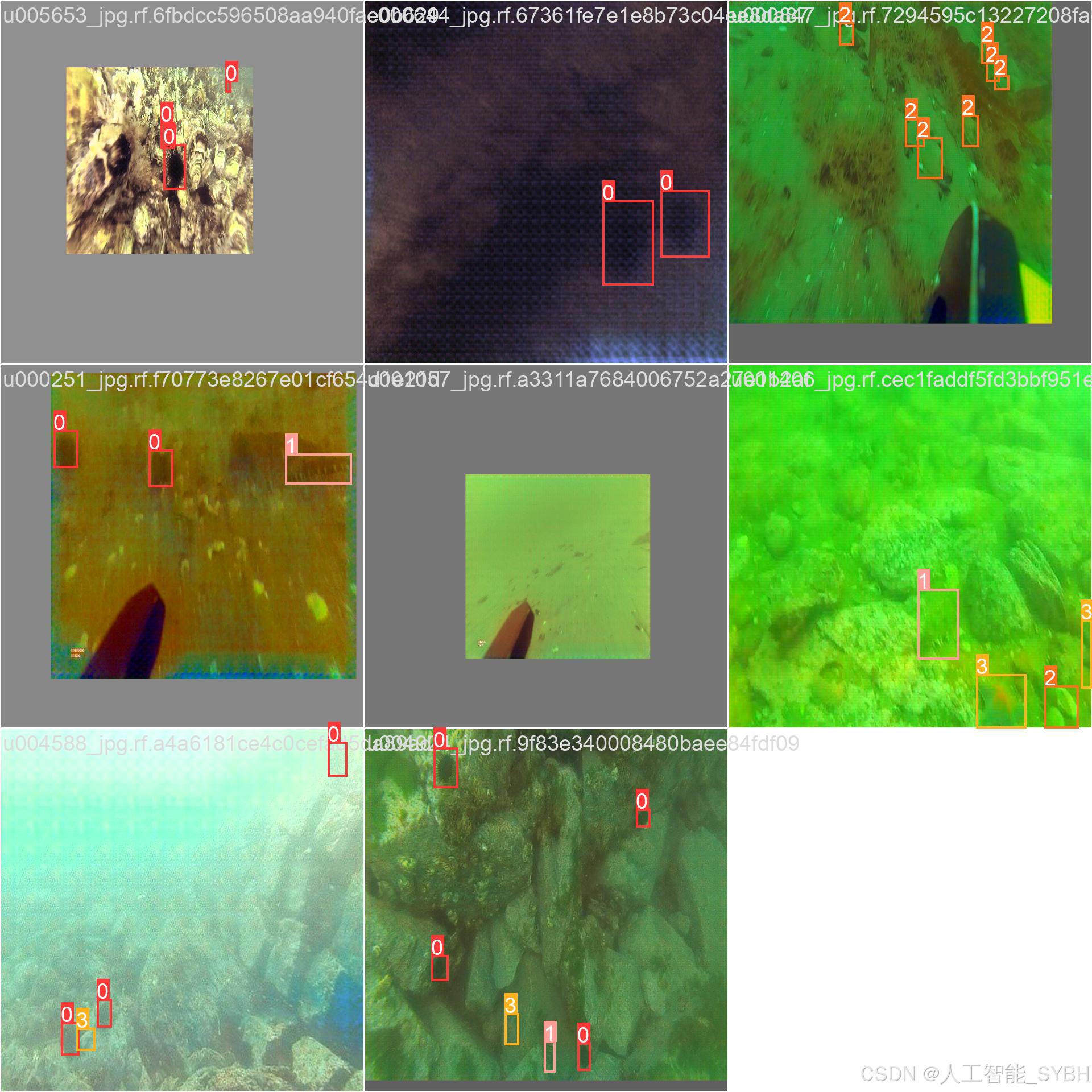 基于深度学习YOLOv8的水下生物识别检测系统（YOLOv8+YOLO数据集+UI界面+Python项目源码+模型）_pyqtablewidget 每行保存yolov8-pose识别到的结果 ...