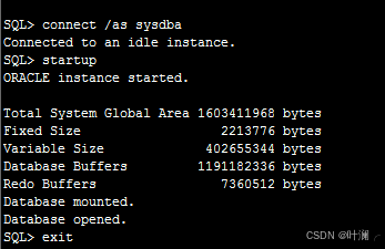 龙蜥Anolis8.9部署Oracle19c_龙蜥8.9安装oracle19c-CSDN博客