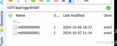 oracle19c通过ogg同步数据到oracle12c配置说明【测试记录版】_oracle的ogg同步-CSDN博客