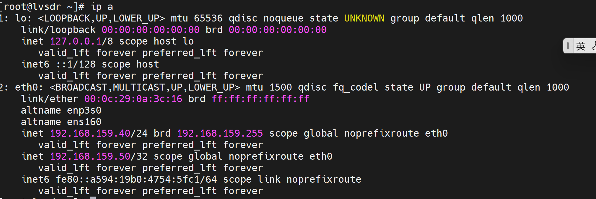 LVS（Linux virtual server）_lvs官网-CSDN博客