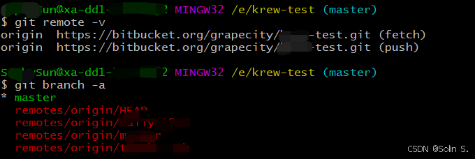 【Sourcetree 】Sourcetree 拉取 Bitbucket 代码突然失败？一次完整的定位与解决全过程（2025 年版）-CSDN博客