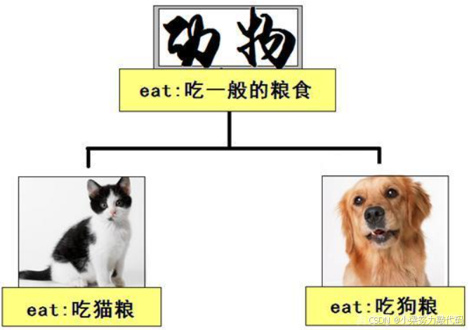 Java基础——继承和多态2java语言之继承与多态 Csdn博客