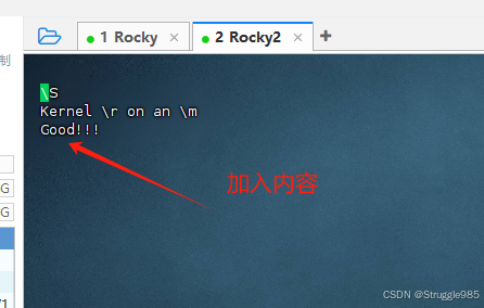 linux /etc/motd /etc/issue文件 _liunx 公告文件-CSDN博客