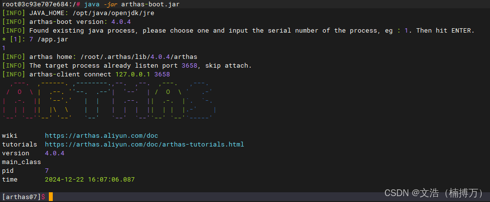 分析和解决Java内存占用过大问题：使用Arthas与Eclipse Memory Analyzer的完整指南_arthas查看内存占用大的地方-CSDN博客
