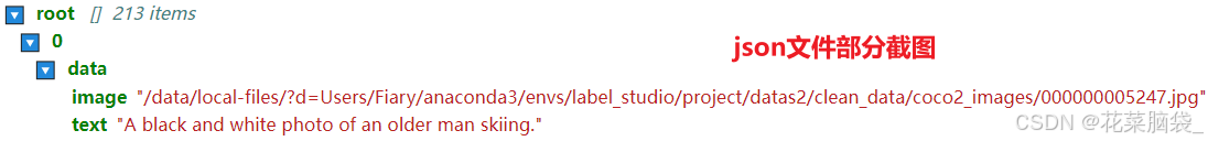 label-studio成功导入多模态json文件(csv也同样适用)_labelstudio 多模态-CSDN博客