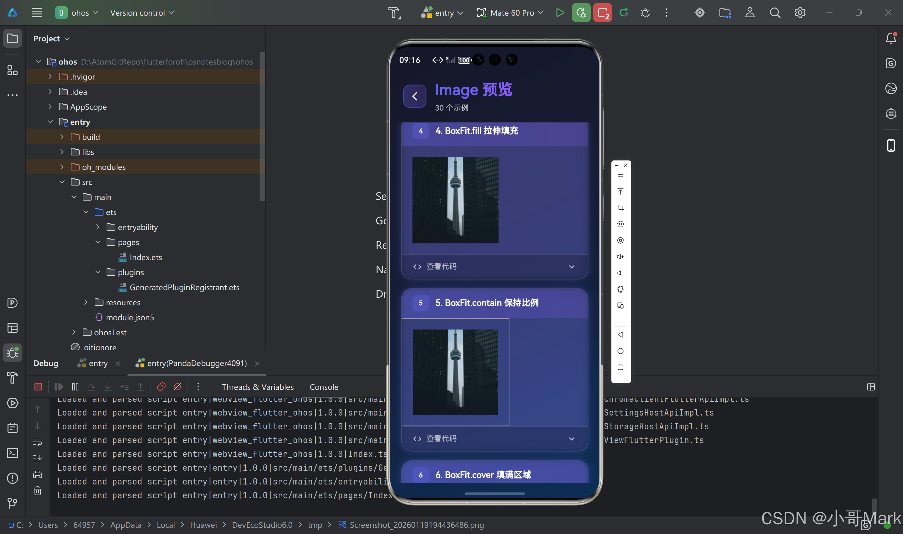 跨平台框架Flutter Image组件在鸿蒙上的实战示例-CSDN博客