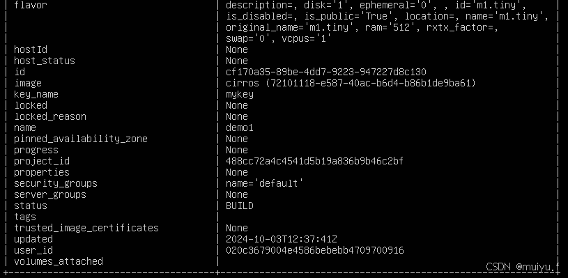 部署 openstack 流程（Vmware + Ubuntu-22.04 + 不开启硬件虚拟化）_openstack vmware-CSDN博客