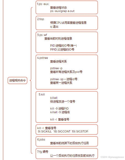 day25，进程-CSDN博客