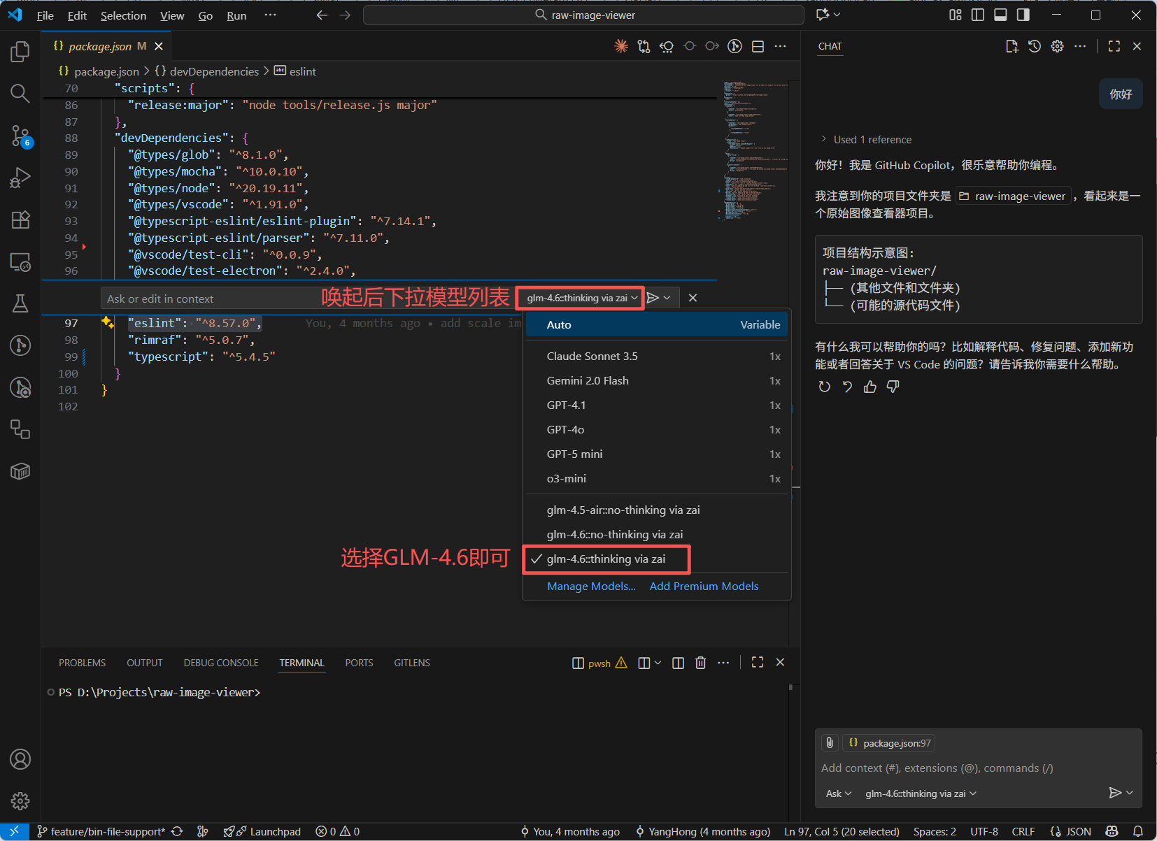 VSCode Copilot 终极魔改：以智谱 GLM-4.6 为例，一文搞定任意大模型接入_oai compatible provider for copilot-CSDN博客