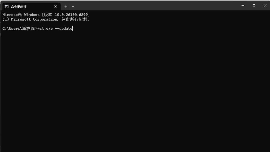 安装WSL+ubuntu-CSDN博客