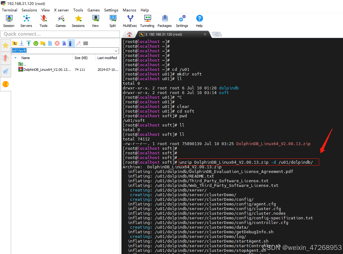 DolphinDB安装部署手册-CSDN博客