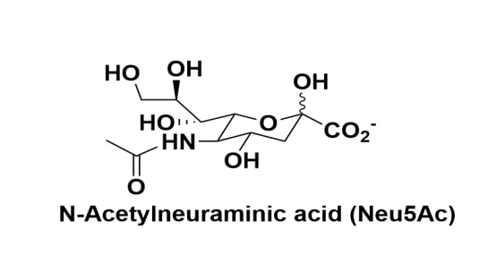 cas：131-48-6，N-Acetylneuraminic acid (Neu5Ac)，N-乙酰神经氨酸的概述_neu5ac结构-CSDN博客