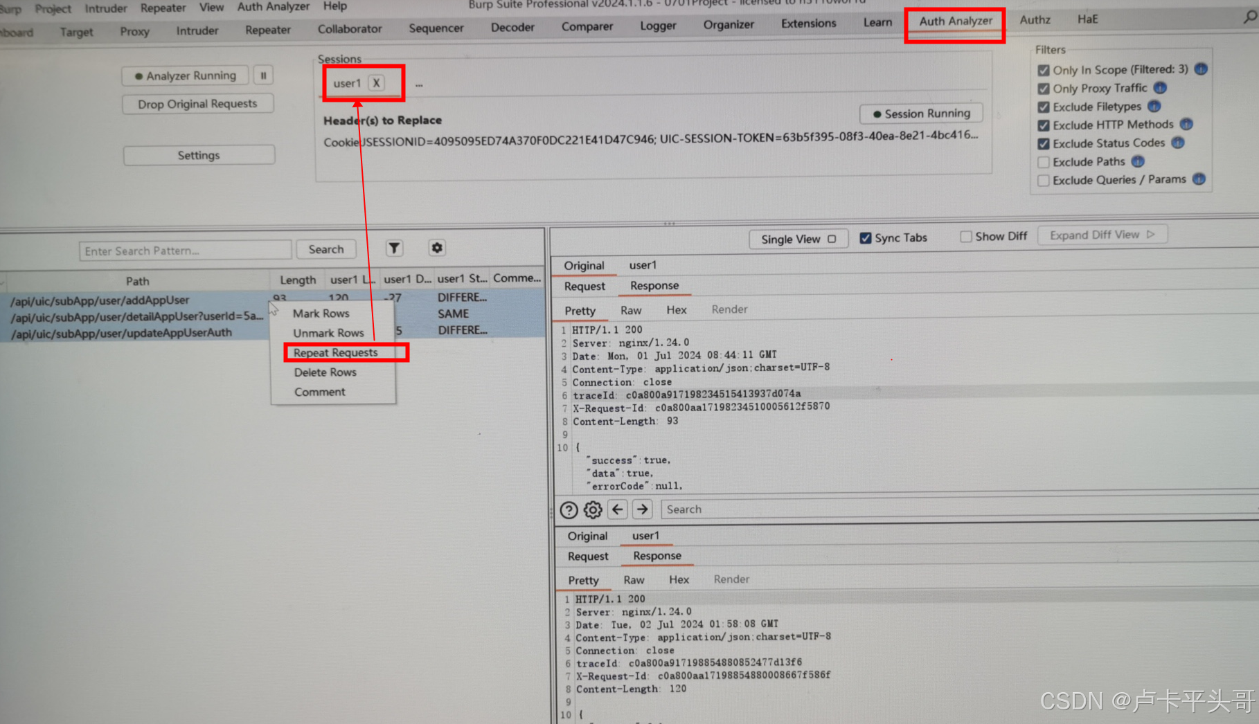 AuthAnalyzer使用说明_auth analyzer-CSDN博客