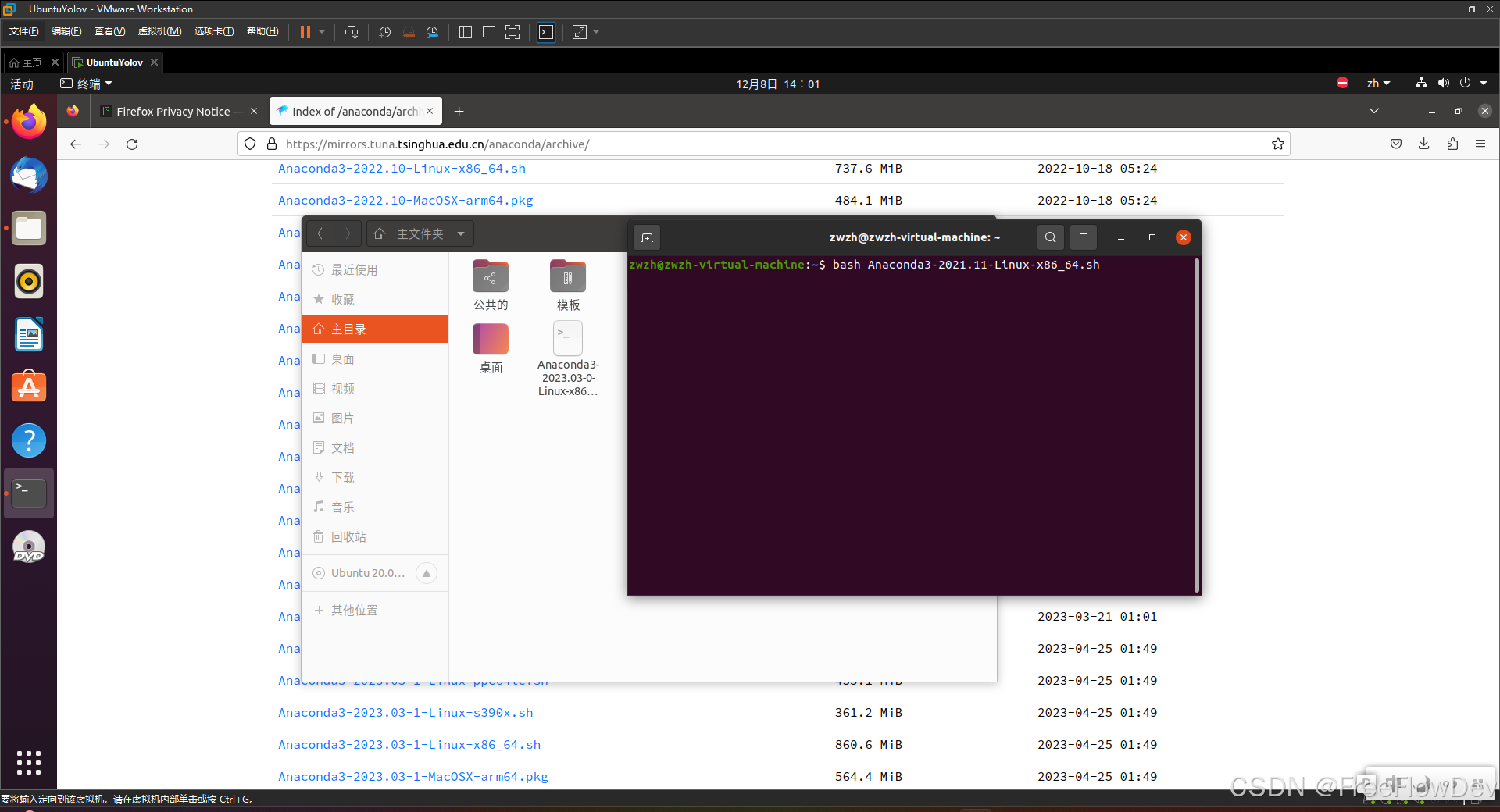 Linux下配置Yolov5_linux yolov5-CSDN博客