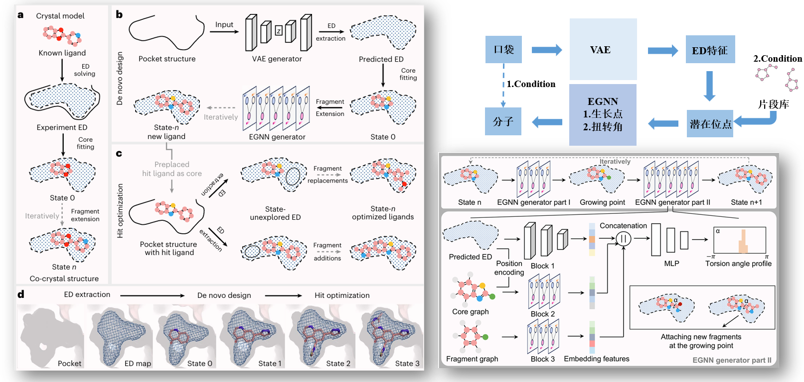 AIDD分享：ED2Mol-CSDN博客