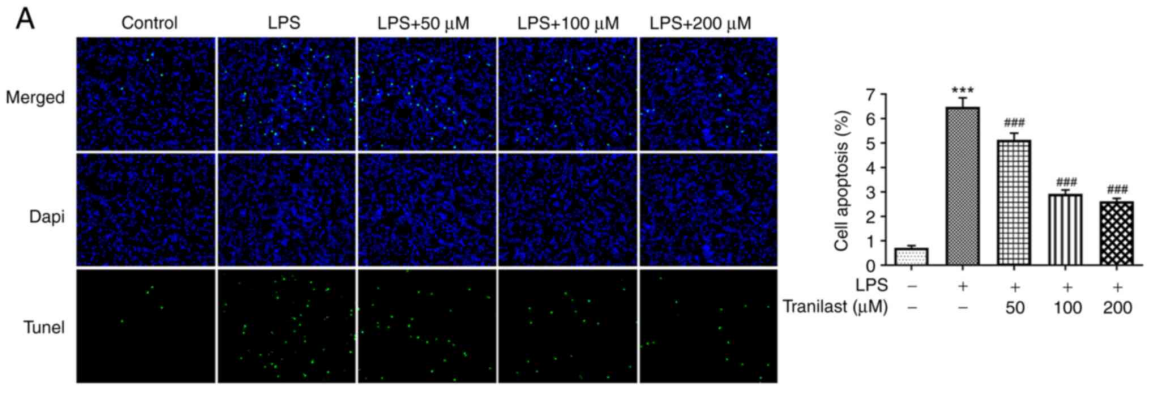 AbMole推荐-LPS（脂多糖）从免疫激活到动物造模的最新应用_脂多糖(lps)作为典型病原相关分子模式-CSDN博客
