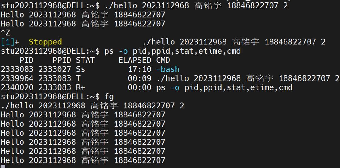 程序人生—Hello’s P2P 大作业报告-CSDN博客