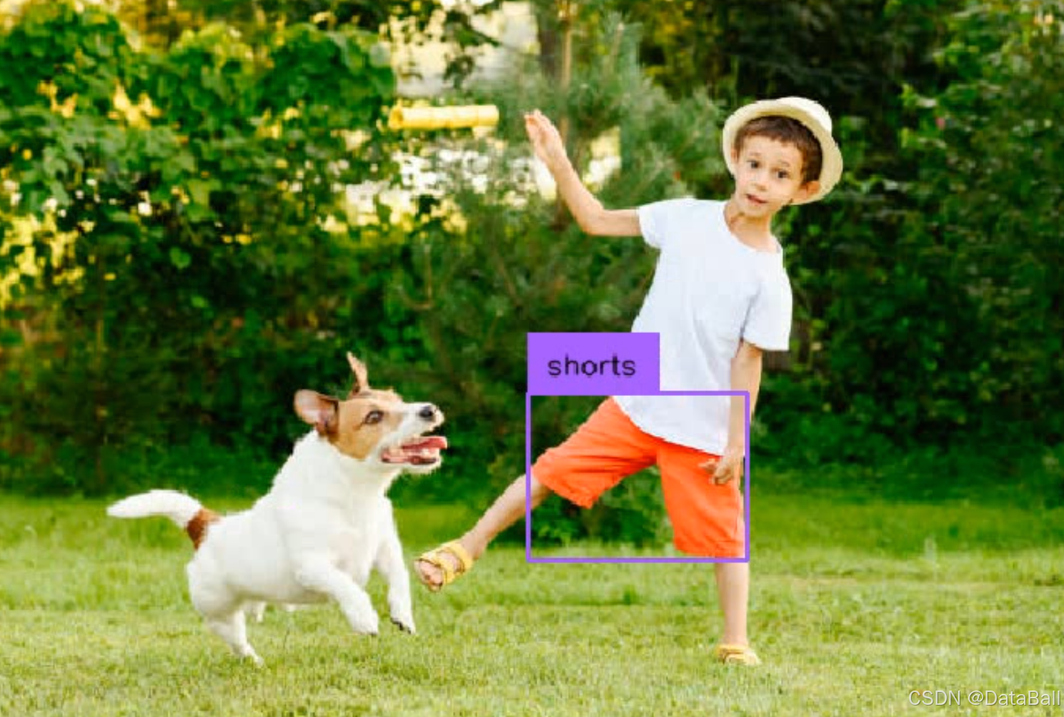 数据集-目标检测系列- 短裤 检测数据集 shorts ＞＞ DataBall_短袖短裤数据集-CSDN博客