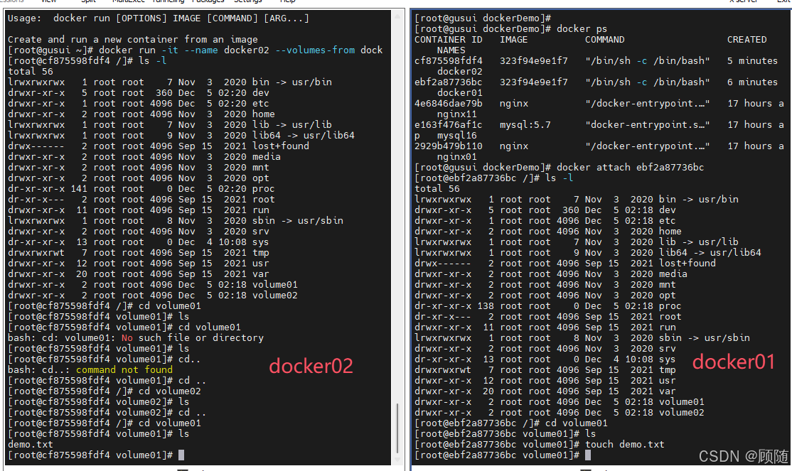 docker容器数据卷、DockerFile_docker数据卷和文件映射的区别-CSDN博客